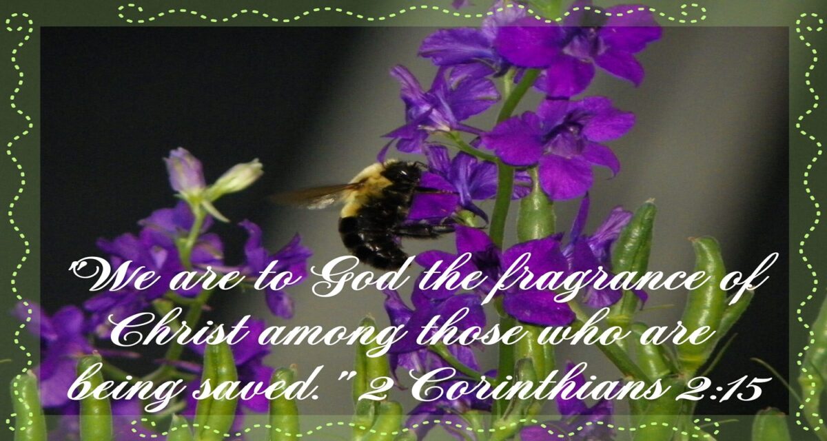 2 Corinthians 2:15 For we are to God the aroma of Christ (Listen to ...