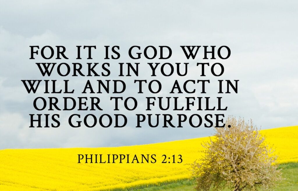 Philippians 2:13 Lights in the World (Listen to, Dramatized or Read ...